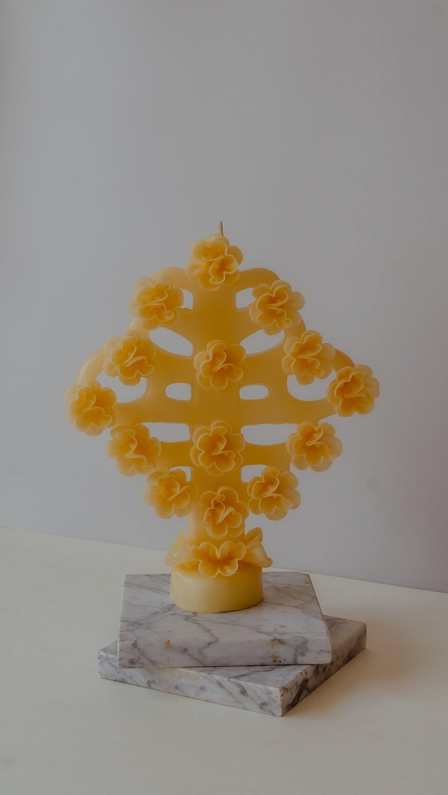 ARBOL DE LA VIDA – UUMA